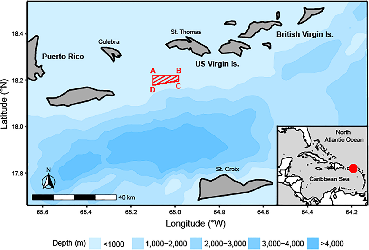 Frontiers | Demographic Recovery of a Reef Fish Population Over 30 ...