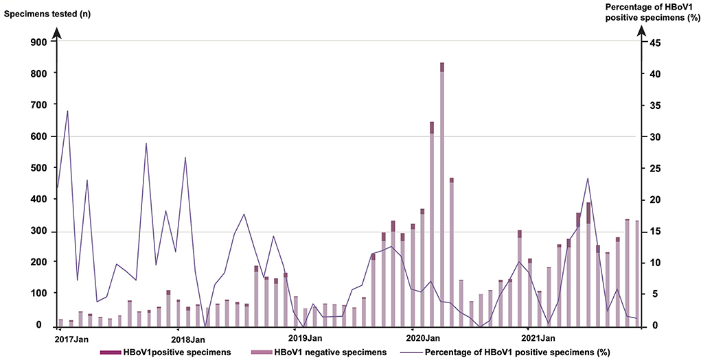 Frontiers | Human bocavirus 1 is a genuine pathogen for acute ...