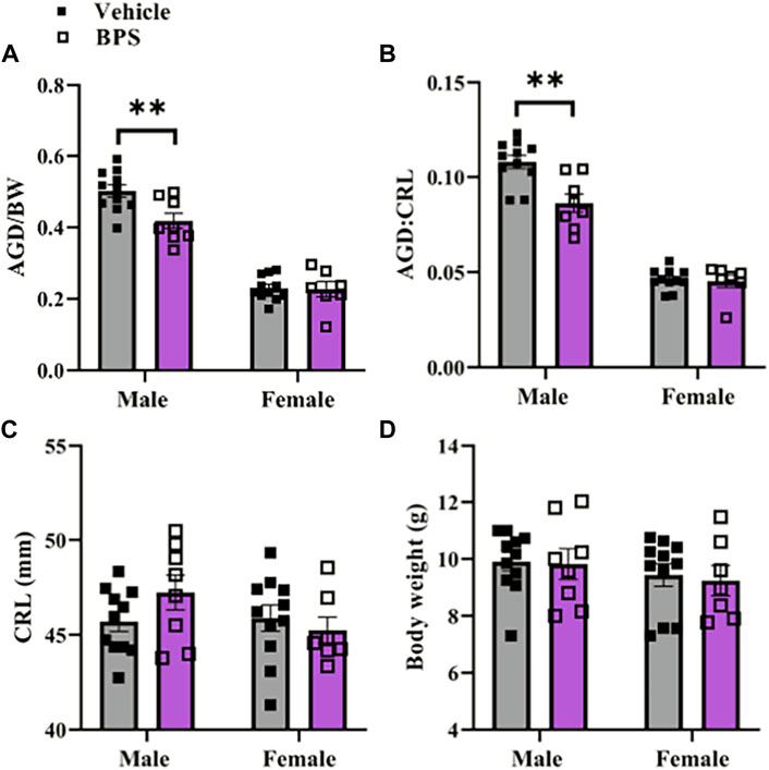 Frontiers | Prenatal exposure to a low dose of BPS causes sex-dependent ...