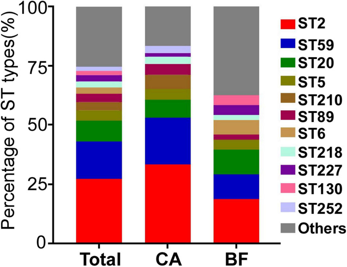 Frontiers | Phenol-soluble modulin contributes to the dispersal of ...