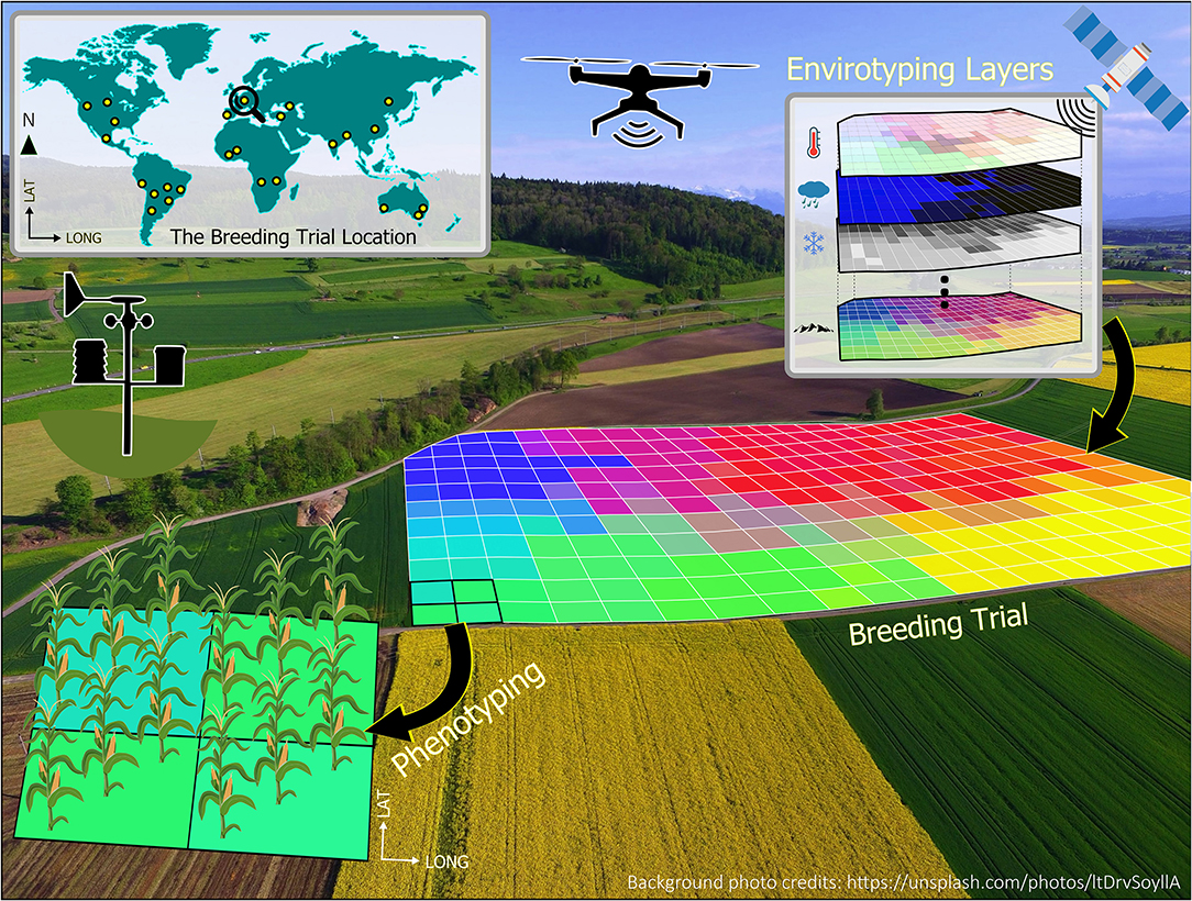Frontiers | Editorial: Enviromics in Plant Breeding