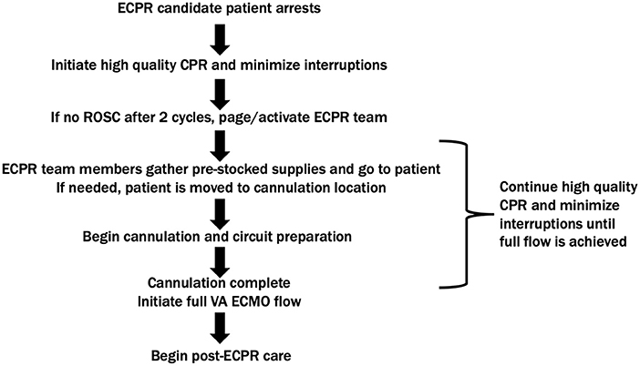 Frontiers | Extracorporeal cardiopulmonary resuscitation in adults and ...