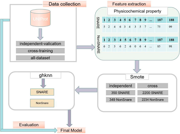 Frontiers | A GHKNN model based on the physicochemical property ...