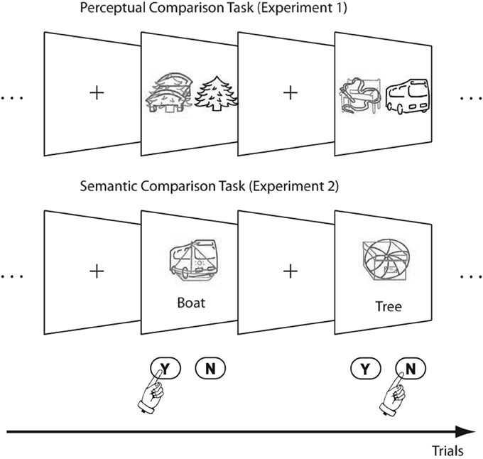 Frontiers | Response-retrieval in identity negative priming is ...