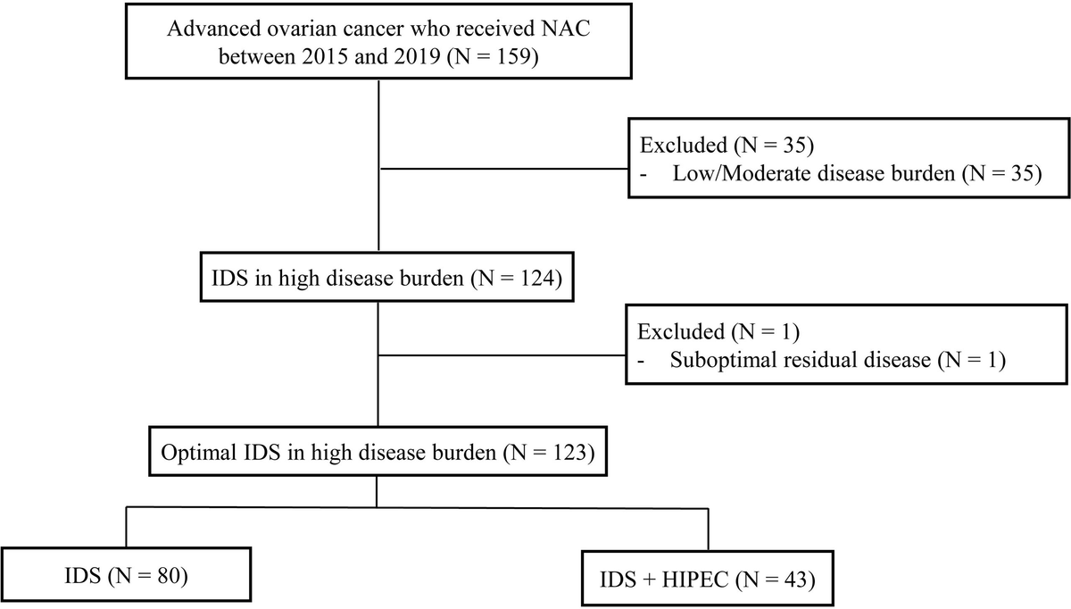 Frontiers | Interval debulking surgery with or without hyperthermic ...