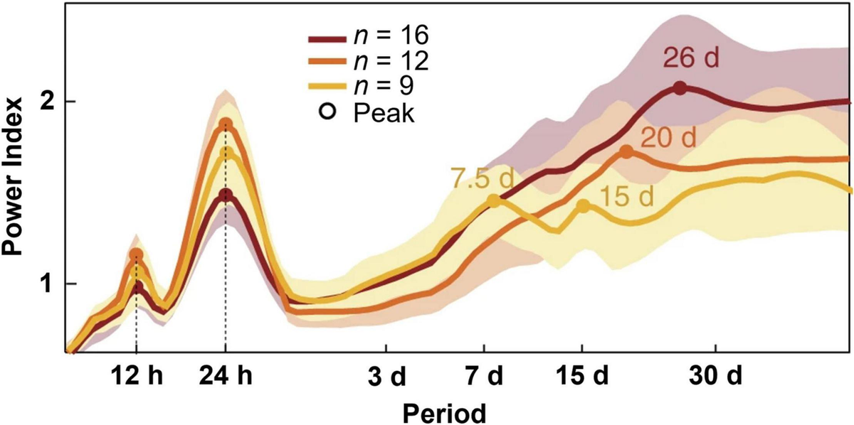 Frontiers | Chronobiology of epilepsy and sudden unexpected death in ...