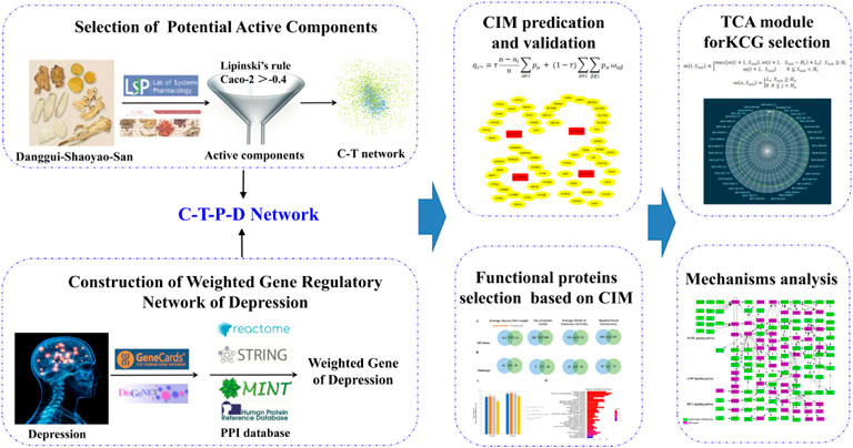 Frontiers | Mathematical algorithm–based identification of the functional components and ...