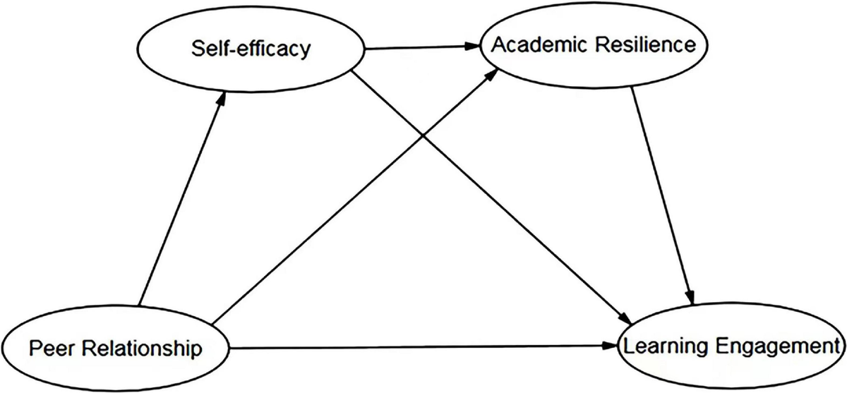 Frontiers | The association between peer relationship and learning ...