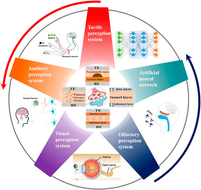 Frontiers | Emerging Memristive Devices for Brain-Inspired Computing ...