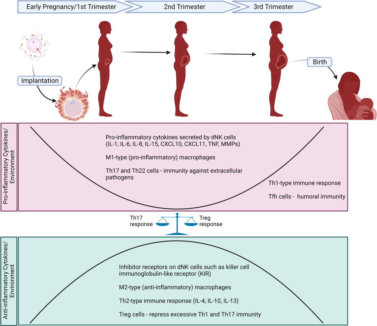 Frontiers | Maternal obesity and the impact of associated early-life ...
