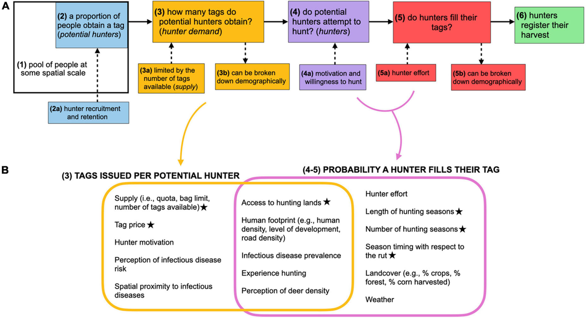Frontiers | A call to action: Standardizing white-tailed deer harvest ...