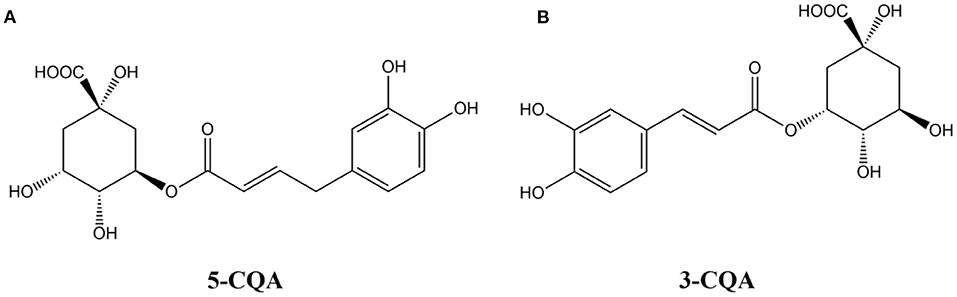 Frontiers | The Biological Activity Mechanism of Chlorogenic Acid and ...