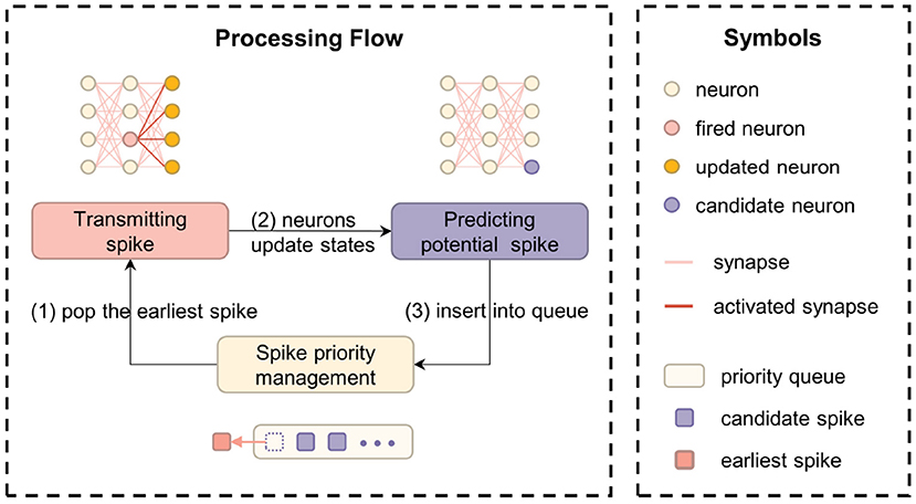Frontiers | EvtSNN: Event-driven SNN simulator optimized by population ...