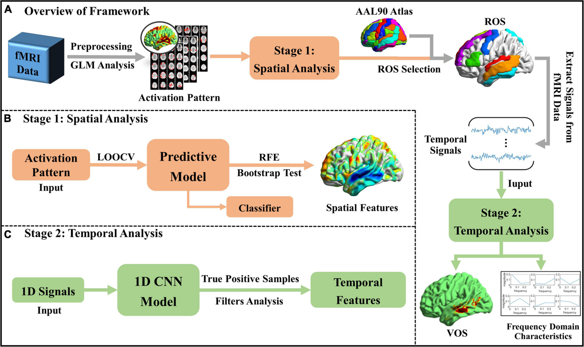 Frontiers | A hybrid learning framework for fine-grained interpretation of brain spatiotemporal ...