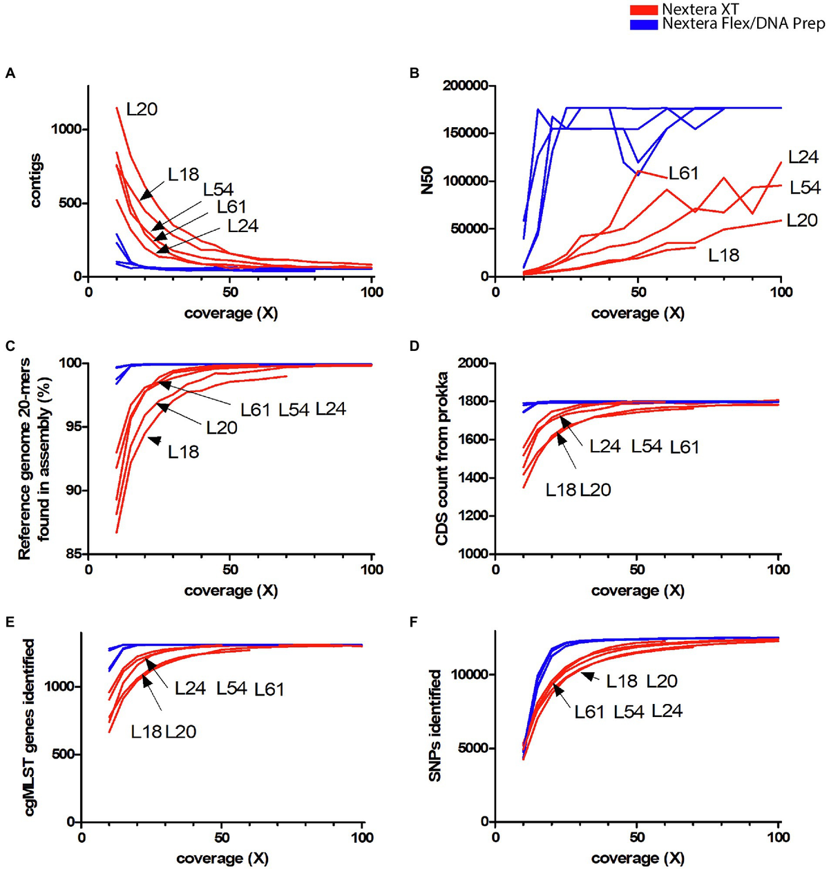 Frontiers | The efficiency of Nextera XT tagmentation depends on G and ...