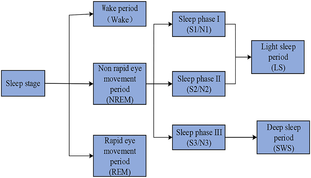 Frontiers | Intelligent automatic sleep staging model based on CNN and LSTM