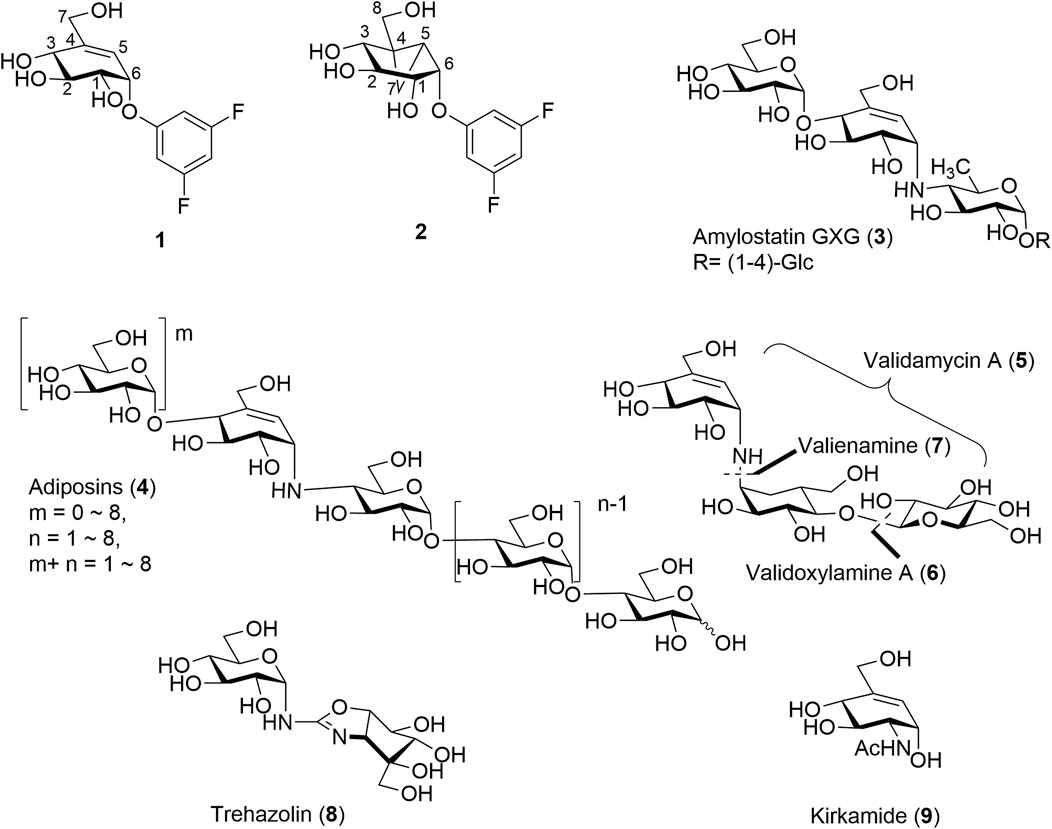 Frontiers | Synthesis of C7/C8-cyclitols and C7N-aminocyclitols from ...