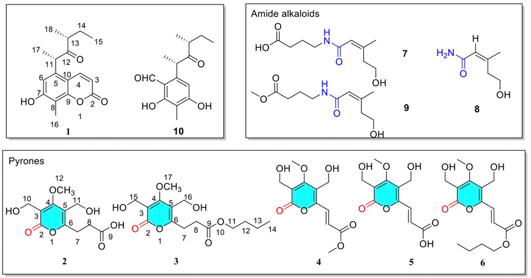 Frontiers | Pyranone Derivatives With Antitumor Activities, From the ...