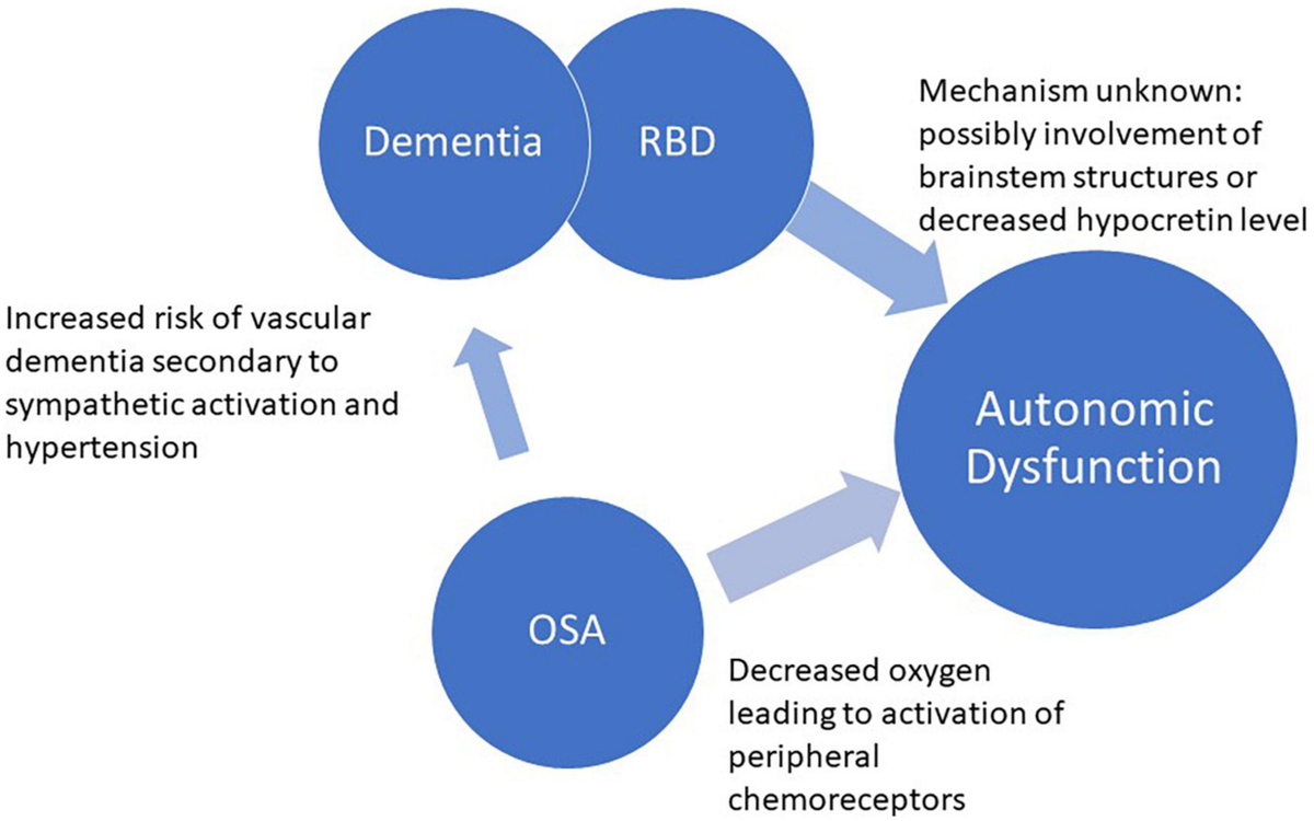 Frontiers | Sleep apnea and autonomic dysfunction in patients with dementia