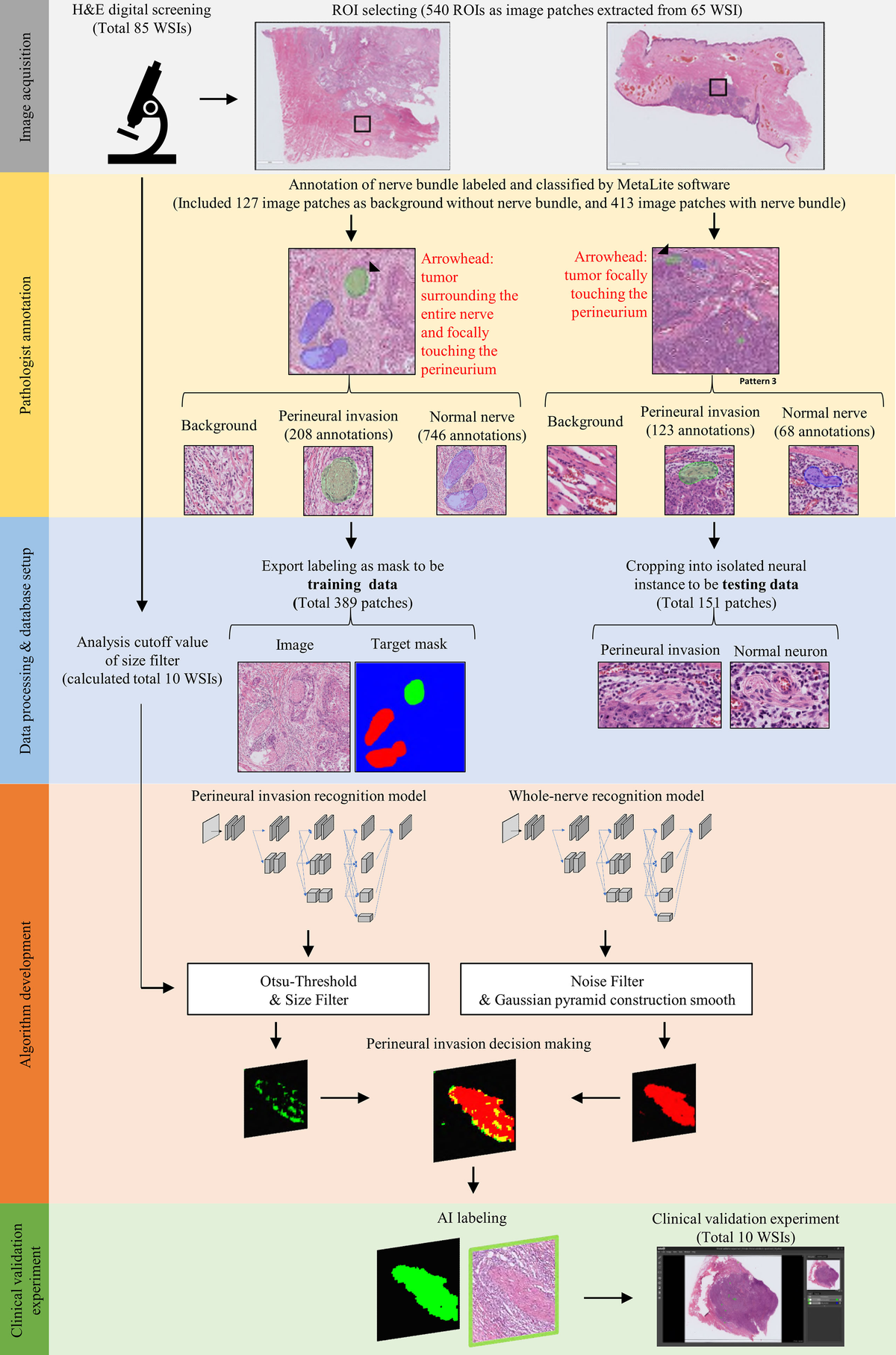 Frontiers | A domain knowledge enhanced yield based deep learning ...