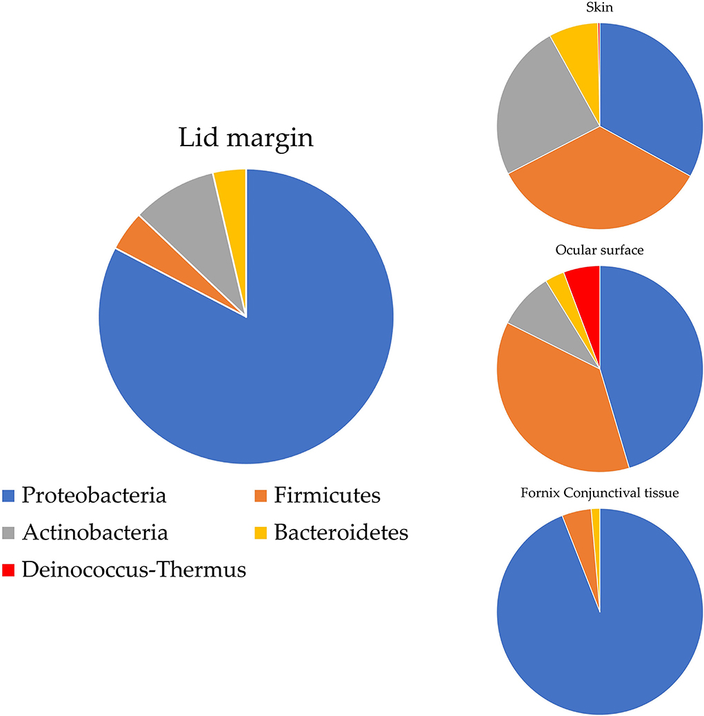 Frontiers | Ocular surface microbiota: Ophthalmic infectious disease ...