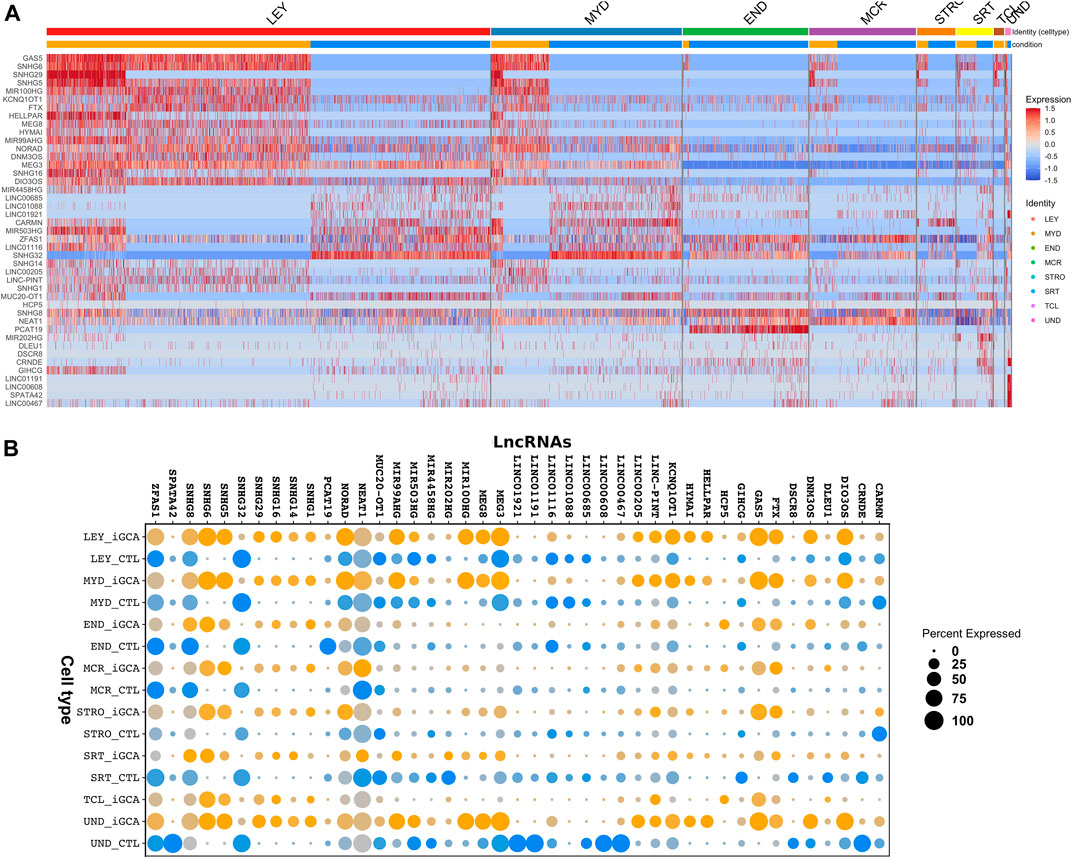 Frontiers Single Cell Transcriptome Profiling Reveals Several Lncrnas