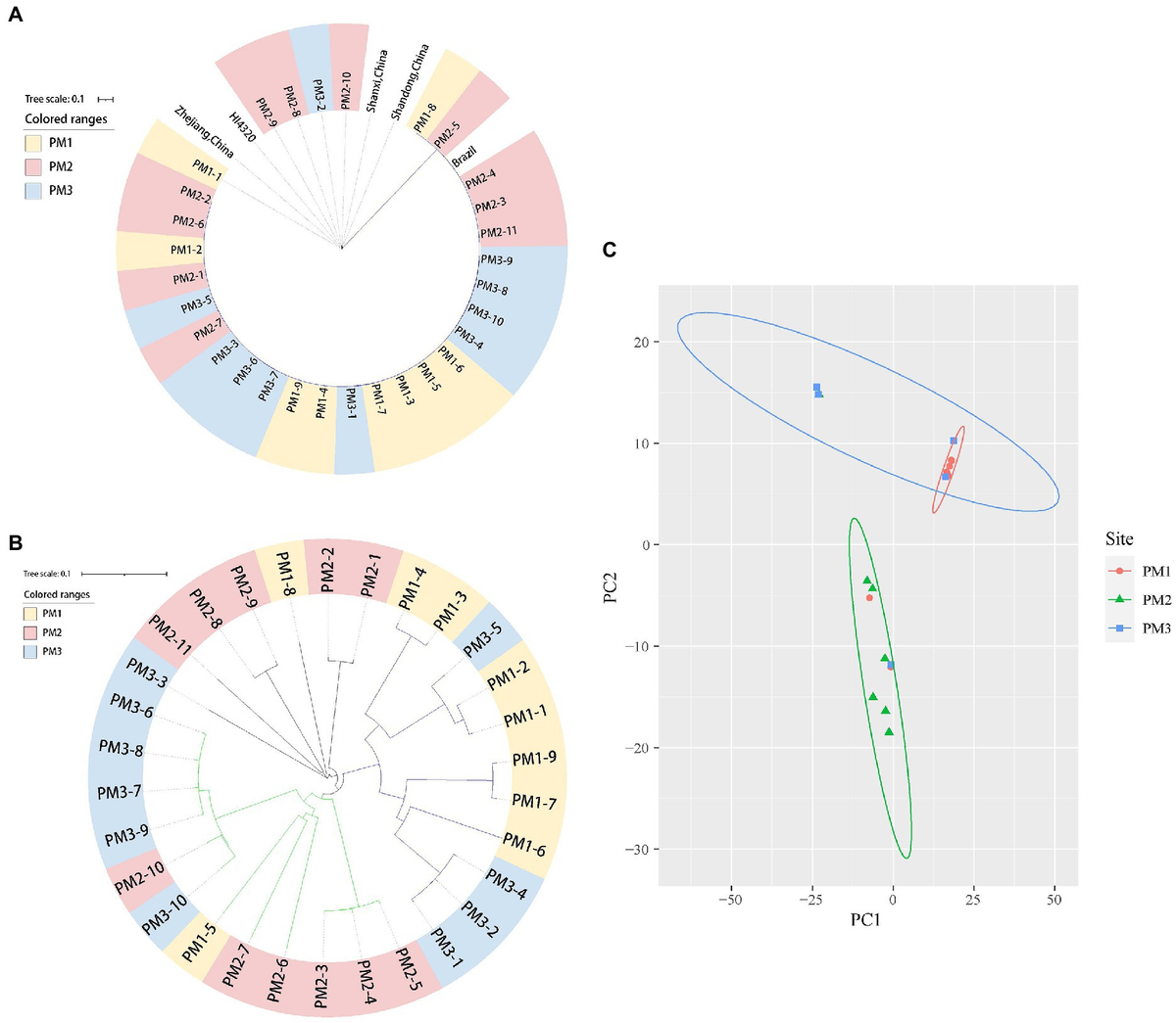Frontiers | Genomic Investigation of Proteus mirabilis Isolates ...