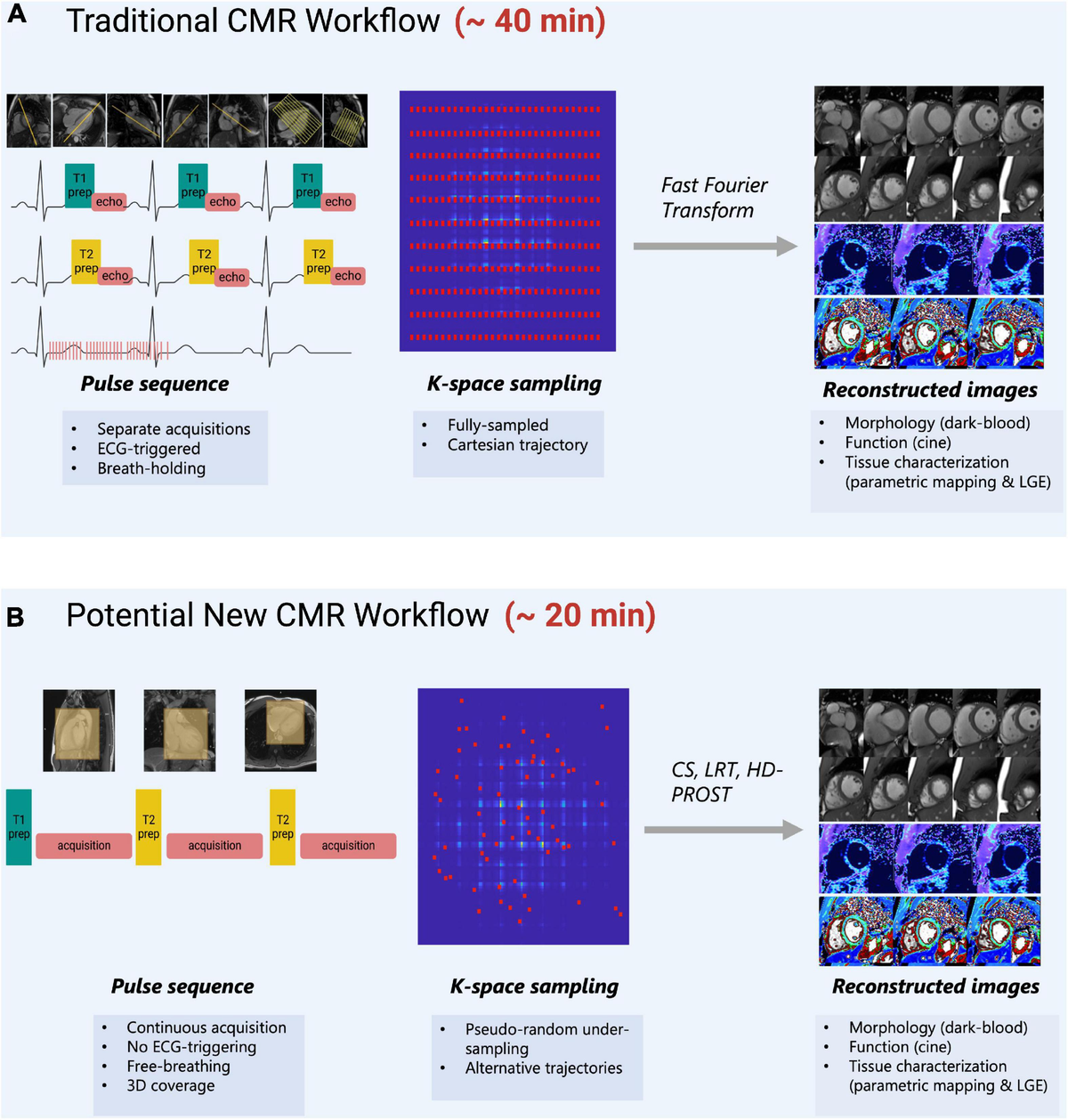 Frontiers | Simultaneous multi-parametric acquisition and ...