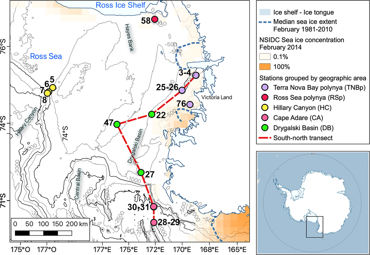 Frontiers | Physical and biological controls on anthropogenic CO2 sink ...