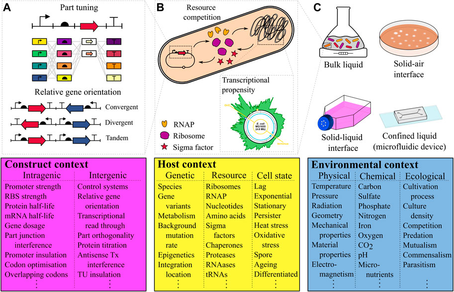 Frontiers | The context matrix: Navigating biological complexity for ...