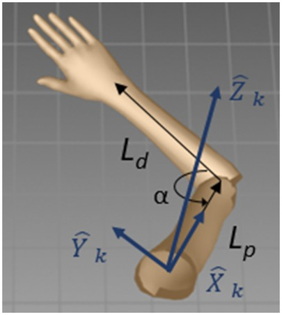 Frontiers | Enhancing motion tracking accuracy of a low-cost 3D video ...