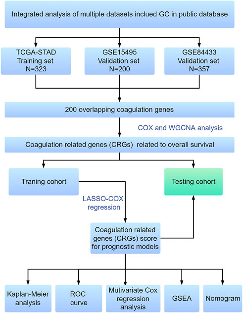 Frontiers Construction And Validation Of A Novel Coagulation Related