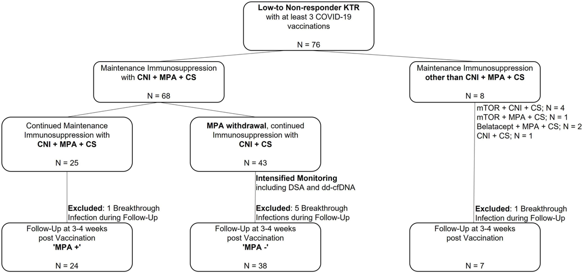 Frontiers | Humoral response to SARS-CoV-2 mRNA vaccination in previous ...