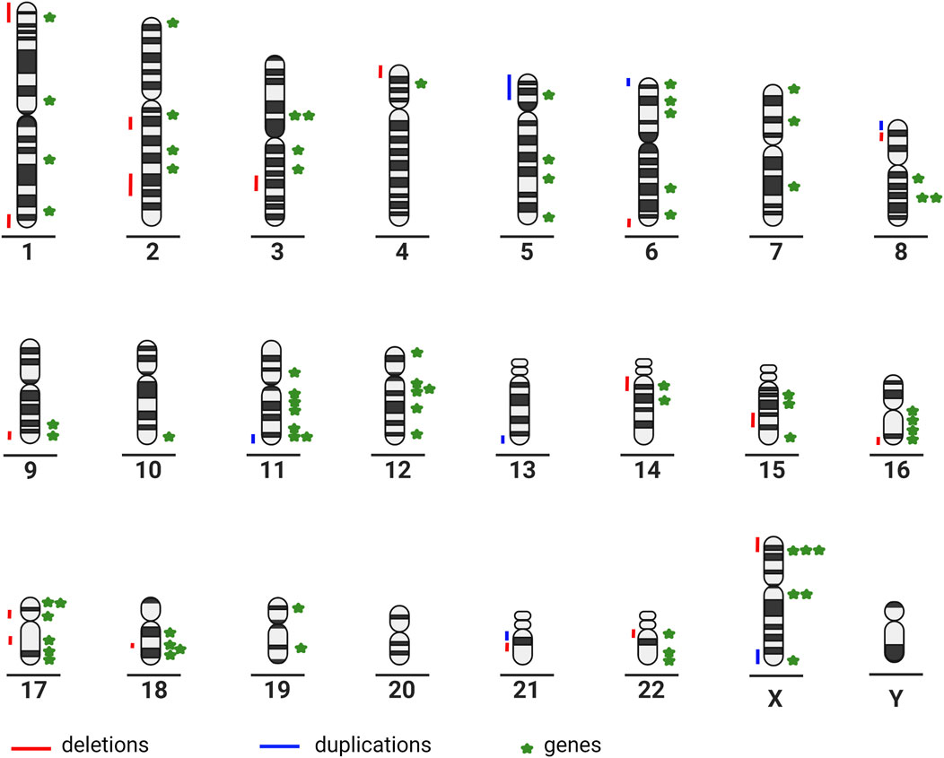 Frontiers | Genetic heterogeneity in corpus callosum agenesis