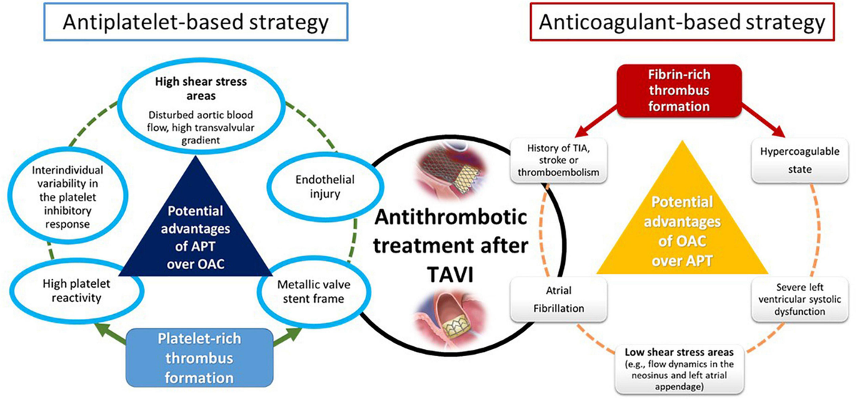 Frontiers | Stroke prevention during and after transcatheter aortic ...