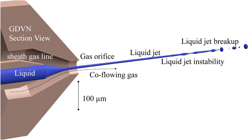Frontiers | Numerical and experimental investigation of gas flow field ...