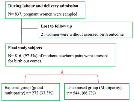 Frontiers | Effect of grand multiparity on adverse maternal outcomes: A ...