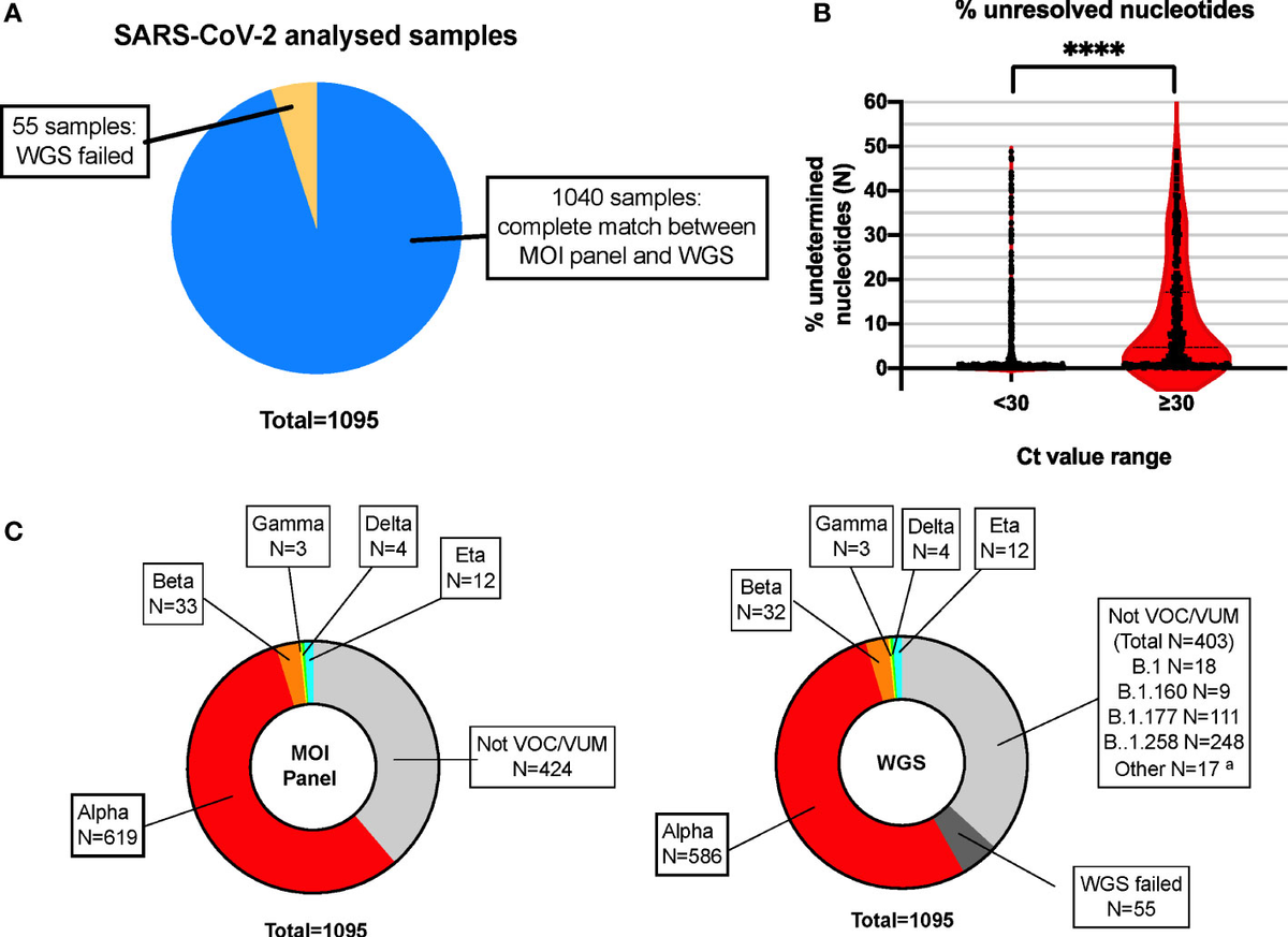 Frontiers | SARS-CoV-2 variants of concern surveillance including ...