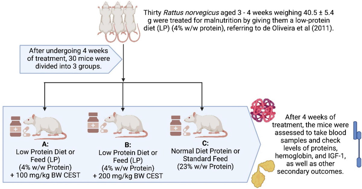 Frontiers | Bioactive peptides identification and nutritional status ...