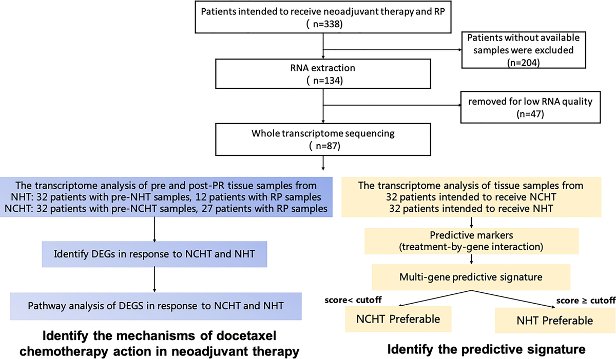 Frontiers | Transcriptomic signature defines two subtypes of locally ...