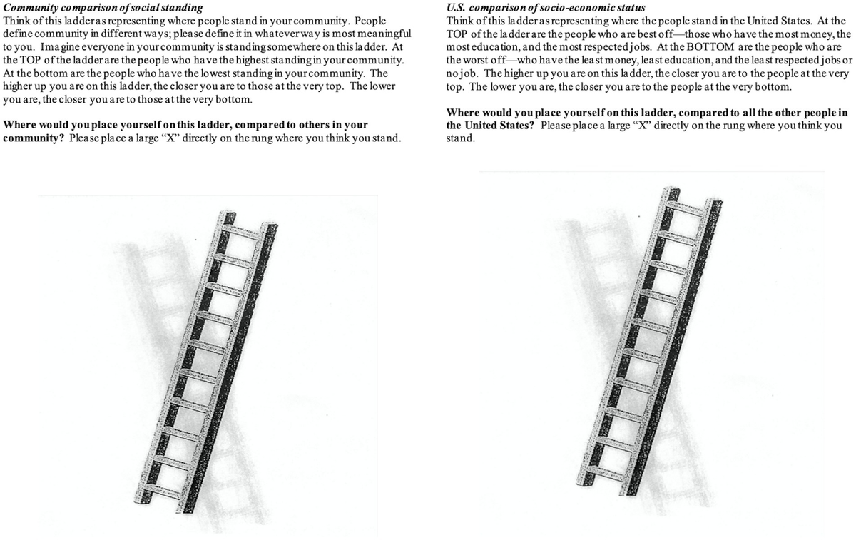 Frontiers | Subjective socioeconomic status is associated with risk ...