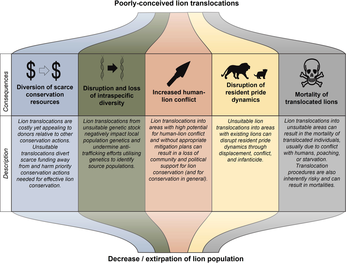 Frontiers | Guidelines for evaluating the conservation value of African ...