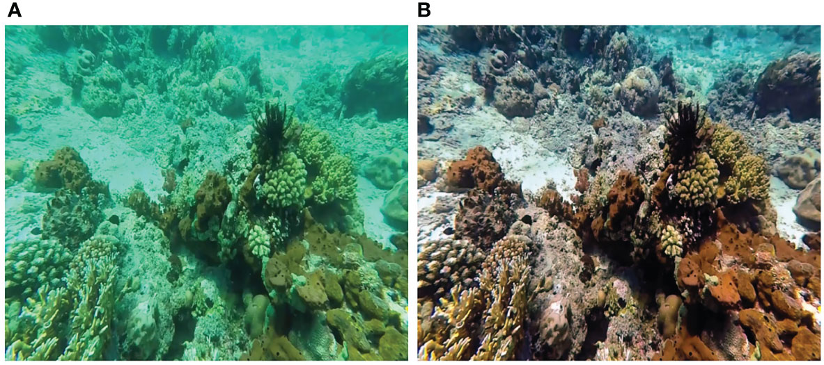 Frontiers | Fast underwater image enhancement based on a generative adversarial framework