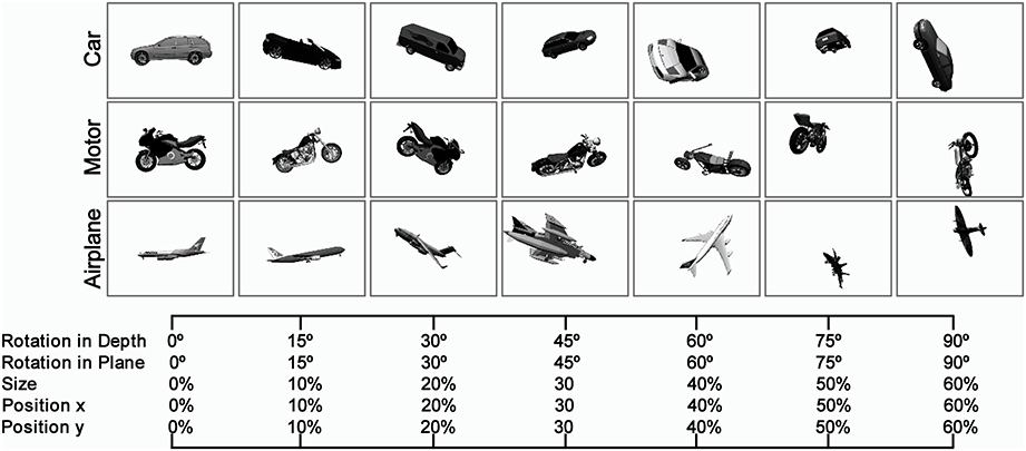 Frontiers | Feedforward object-vision models only tolerate small image ...