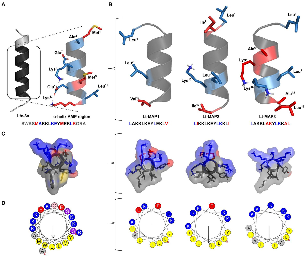 Frontiers | First generation of multifunctional peptides derived from ...