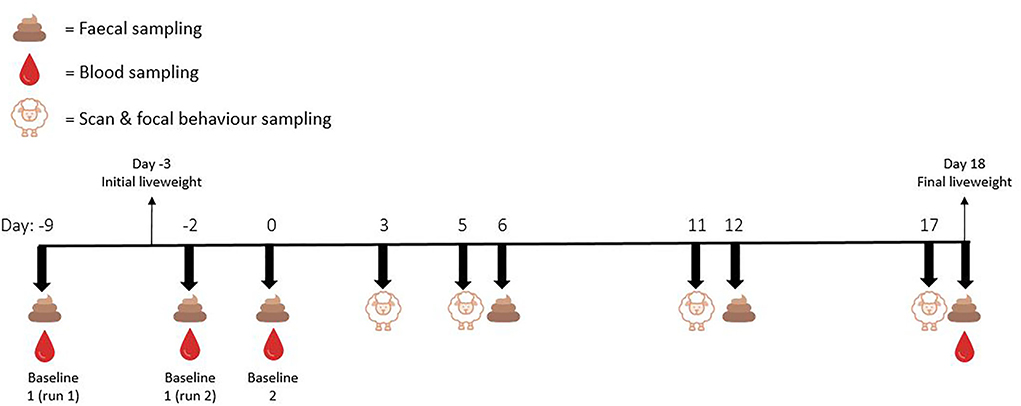 Frontiers | Stocking density, restricted trough space, and implications ...