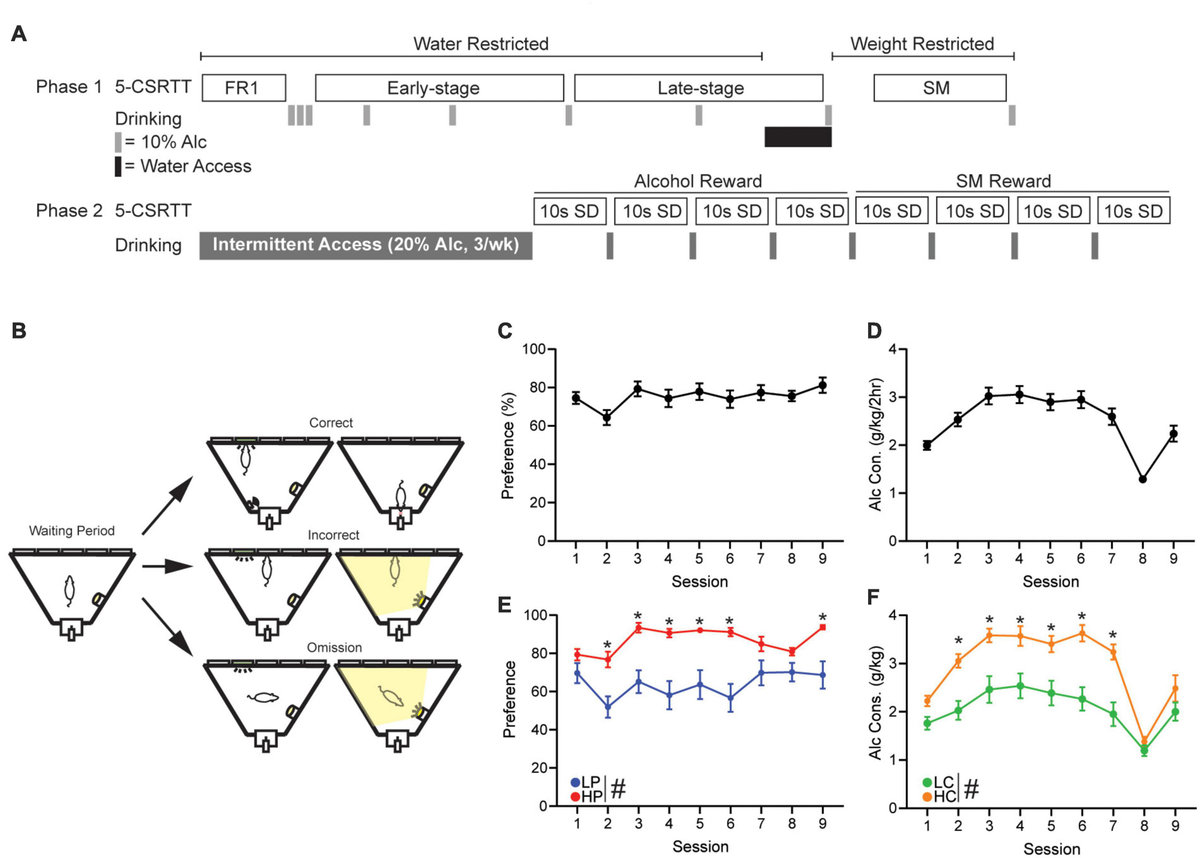Frontiers | Adaptation of the 5-choice serial reaction time task to ...