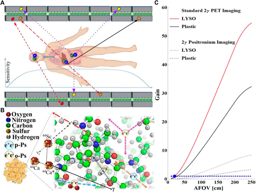 Frontiers | Perspectives on translation of positronium imaging into clinics