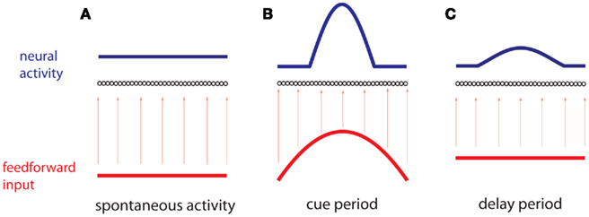 Frontiers | Short-Term Facilitation may Stabilize Parametric Working ...