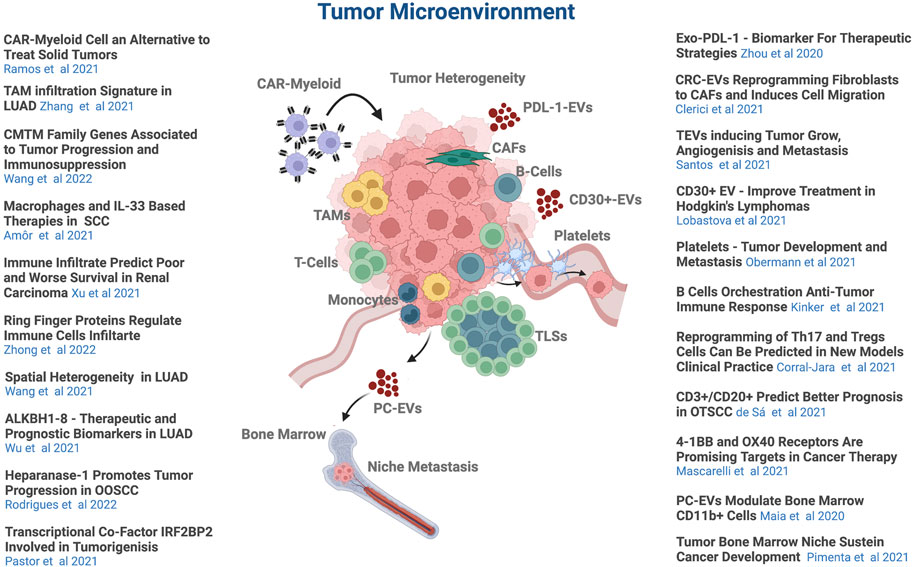 Frontiers | Editorial: Tumor microenvironment (TME) and tumor immune ...